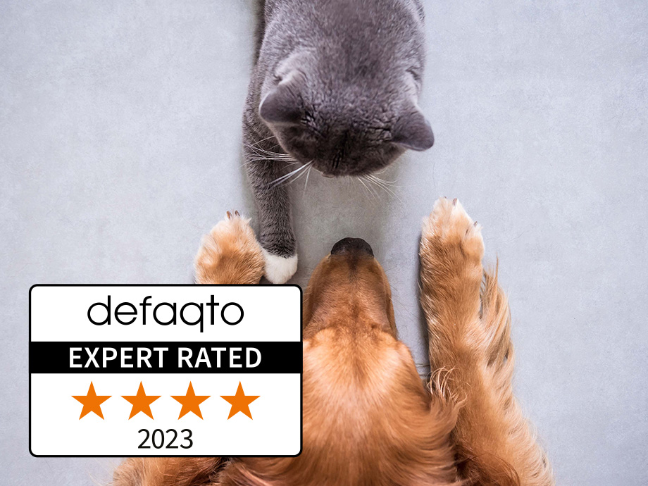 Defaqto 5 Star Rated Car, Home, Van and Pet Insurance - Ageas
