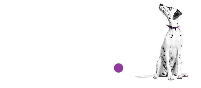 Ageas - Car, Home, Van, Travel and Pet Insurance - Ageas