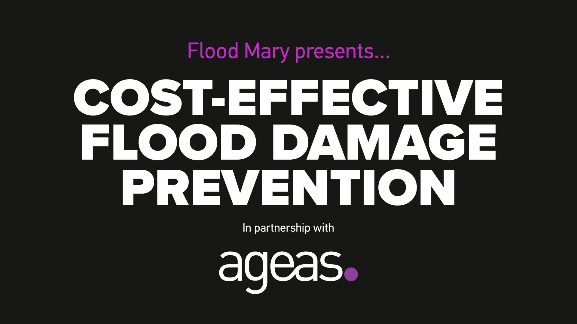 Flood Mary resources to protect your home - Ageas