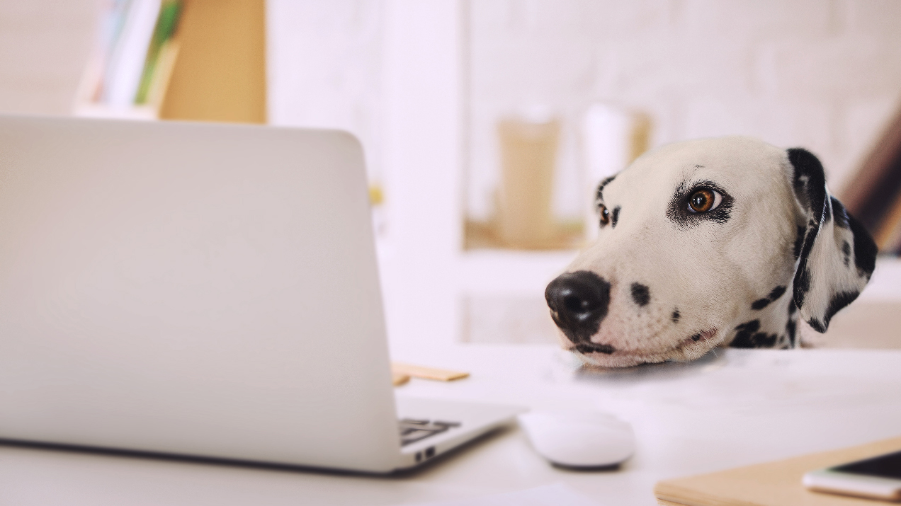 Home insurance - Get a household cover quote online - Ageas