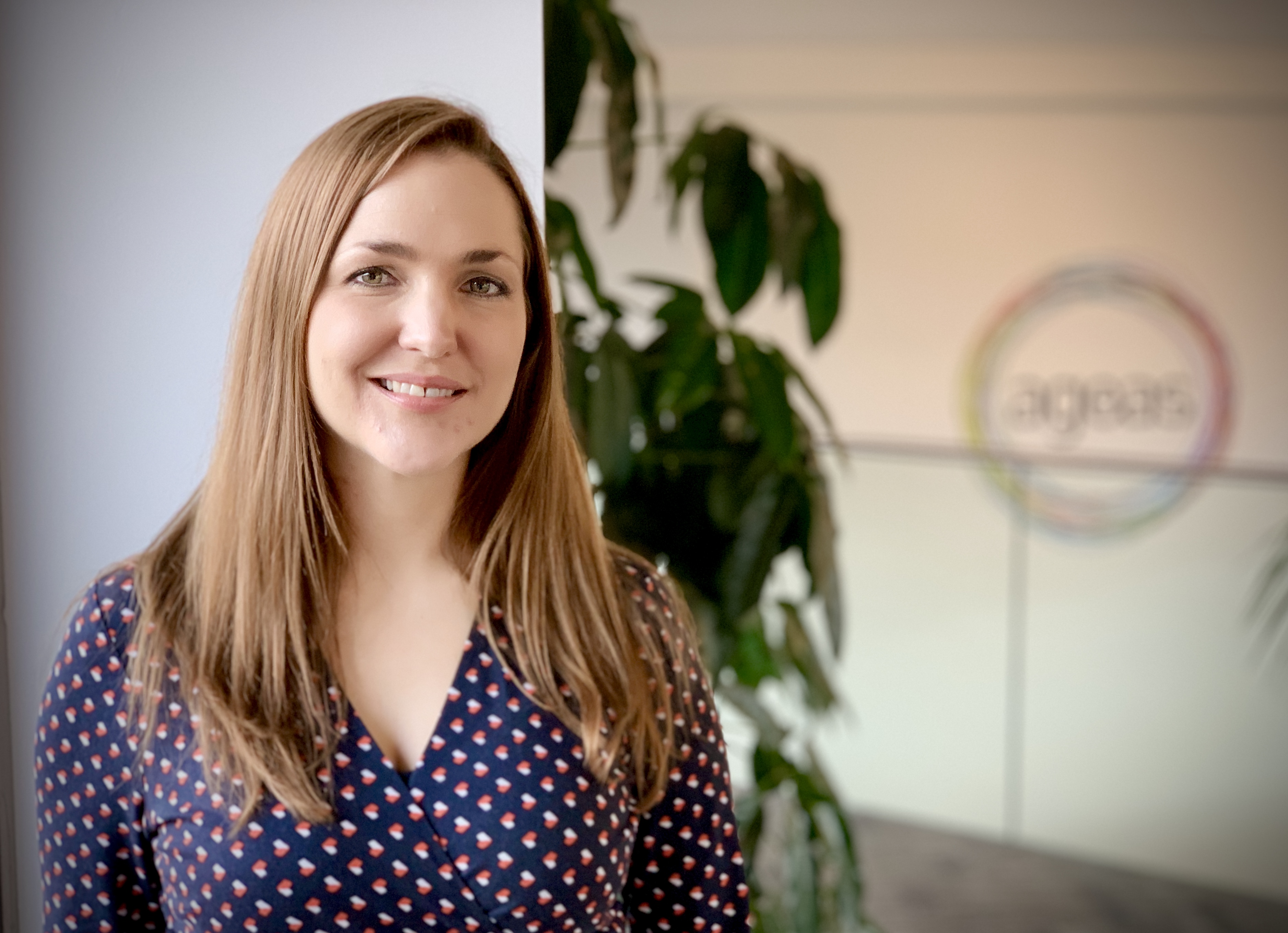 FDS Fraud Prevention Tool - Ageas